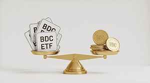 The Hidden Risks Of BDCs: What Every Income Investor Needs To Know In 2025